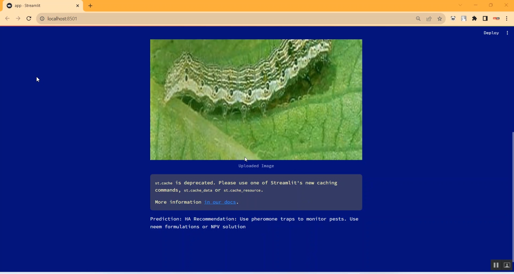 Pest Detection Using CNN Streamlit App in Python Projects
